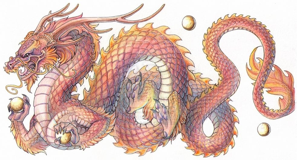 Difference Between A Chinese Dragon and A Western Dragon