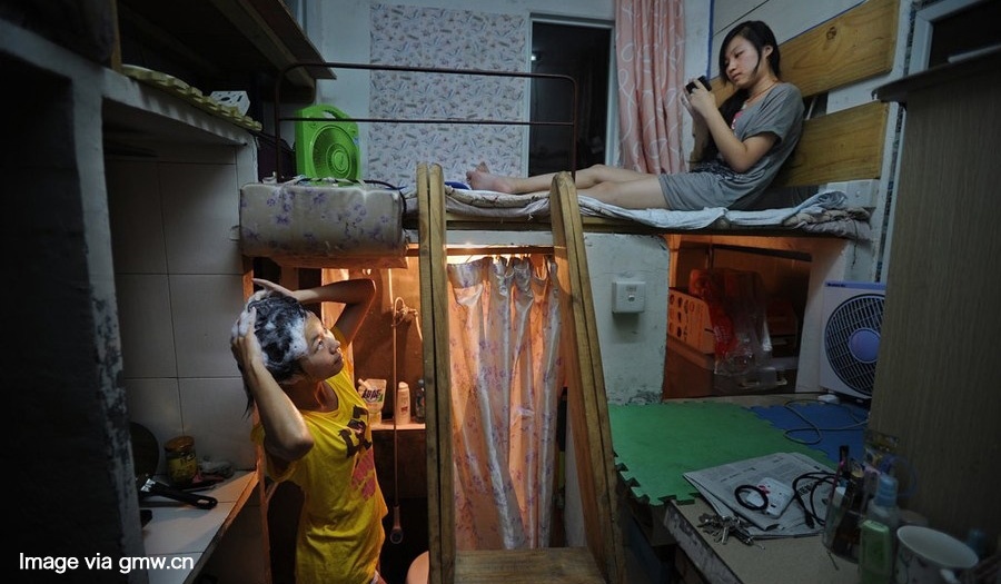 What Is The Ant-Tribe?