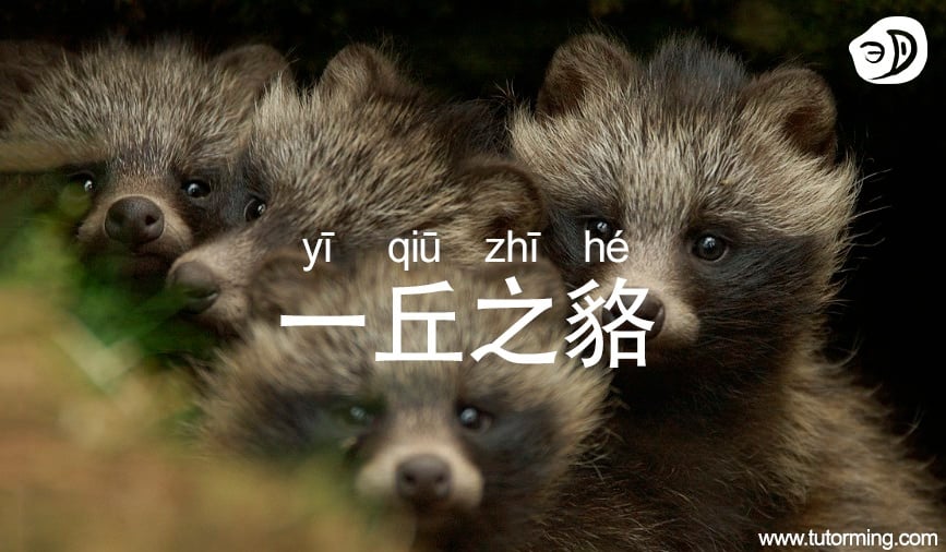 ChengYu: 一丘之貉 Meaning